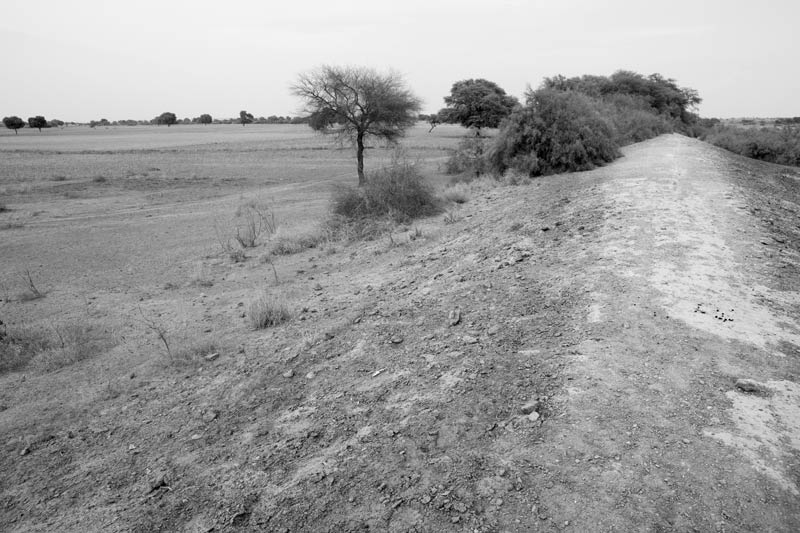 MWS | Khadin: A Nature-Based Solution for Water for Agriculture in the ...