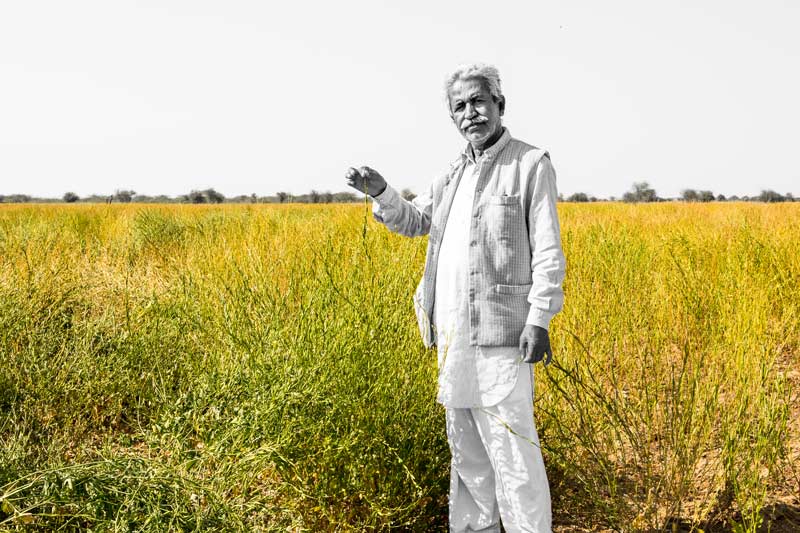 MWS | Khadin: A Nature-Based Solution for Water for Agriculture in the ...