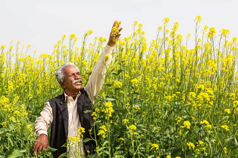 MWS | Khadin: A Nature-Based Solution for Water for Agriculture in the ...